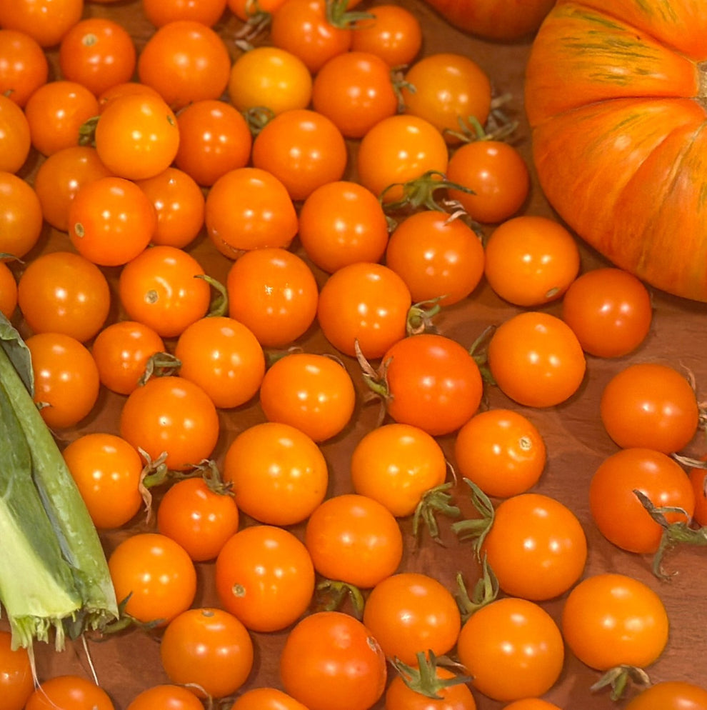 Bene Seeds - More flavor, less waste