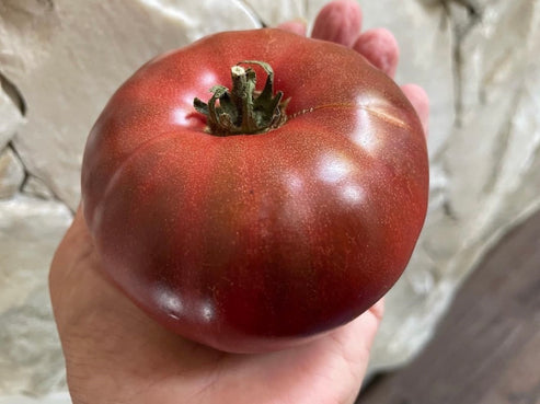 One Trick Pony- OP tomato seeds- Pack of 25 seeds – Bene Seeds